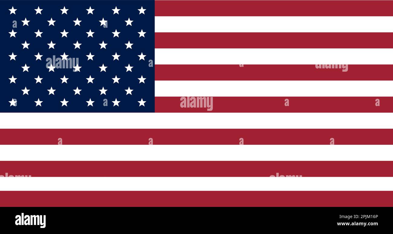 US American straight flag with true colors. Flat vector illustration ...