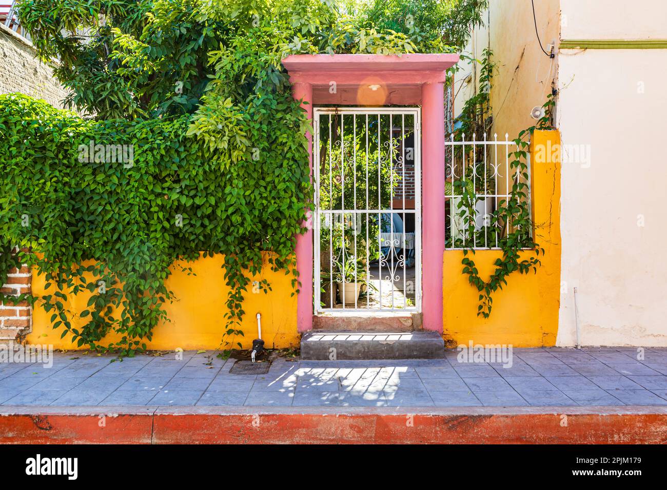 Todos Santos, Baja California Sur, Mexico. White iron gate on a yellow ...