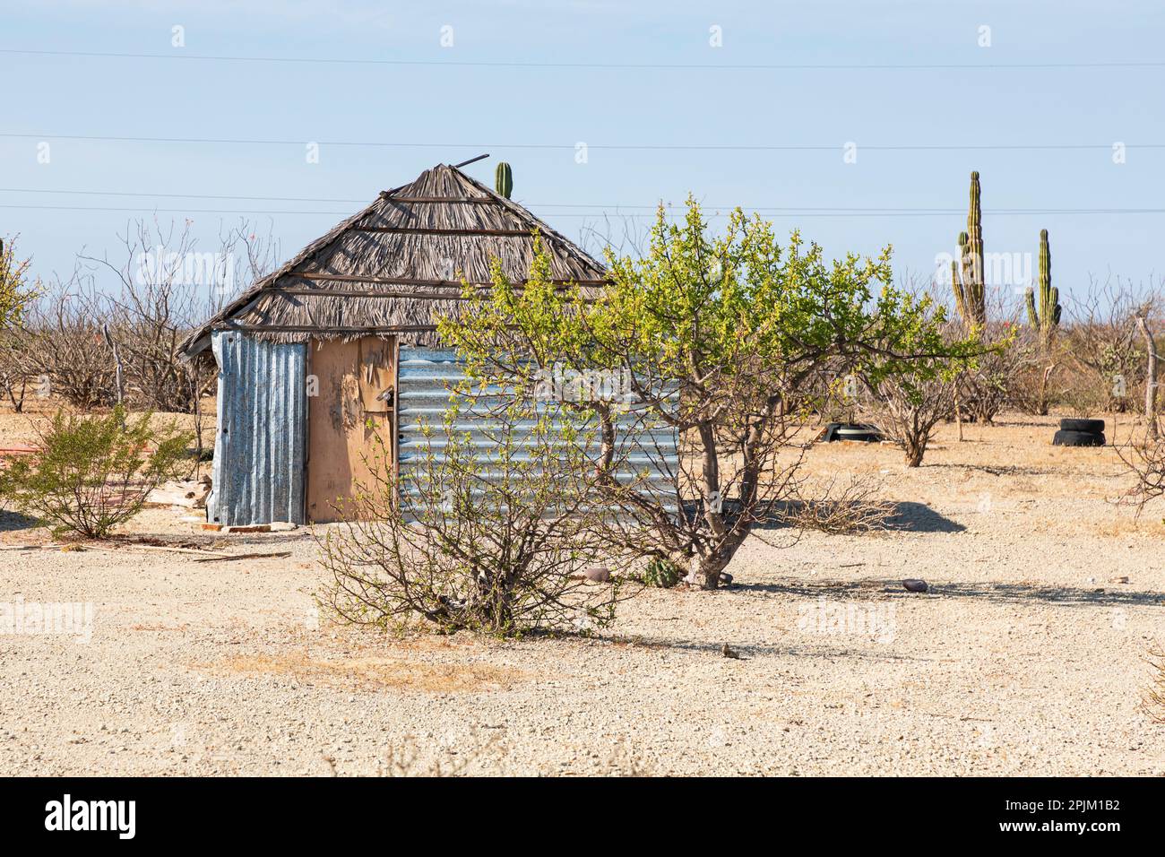 Guadeloupe, La Paz, Baja California Sur, Mexico. A small shack in the ...