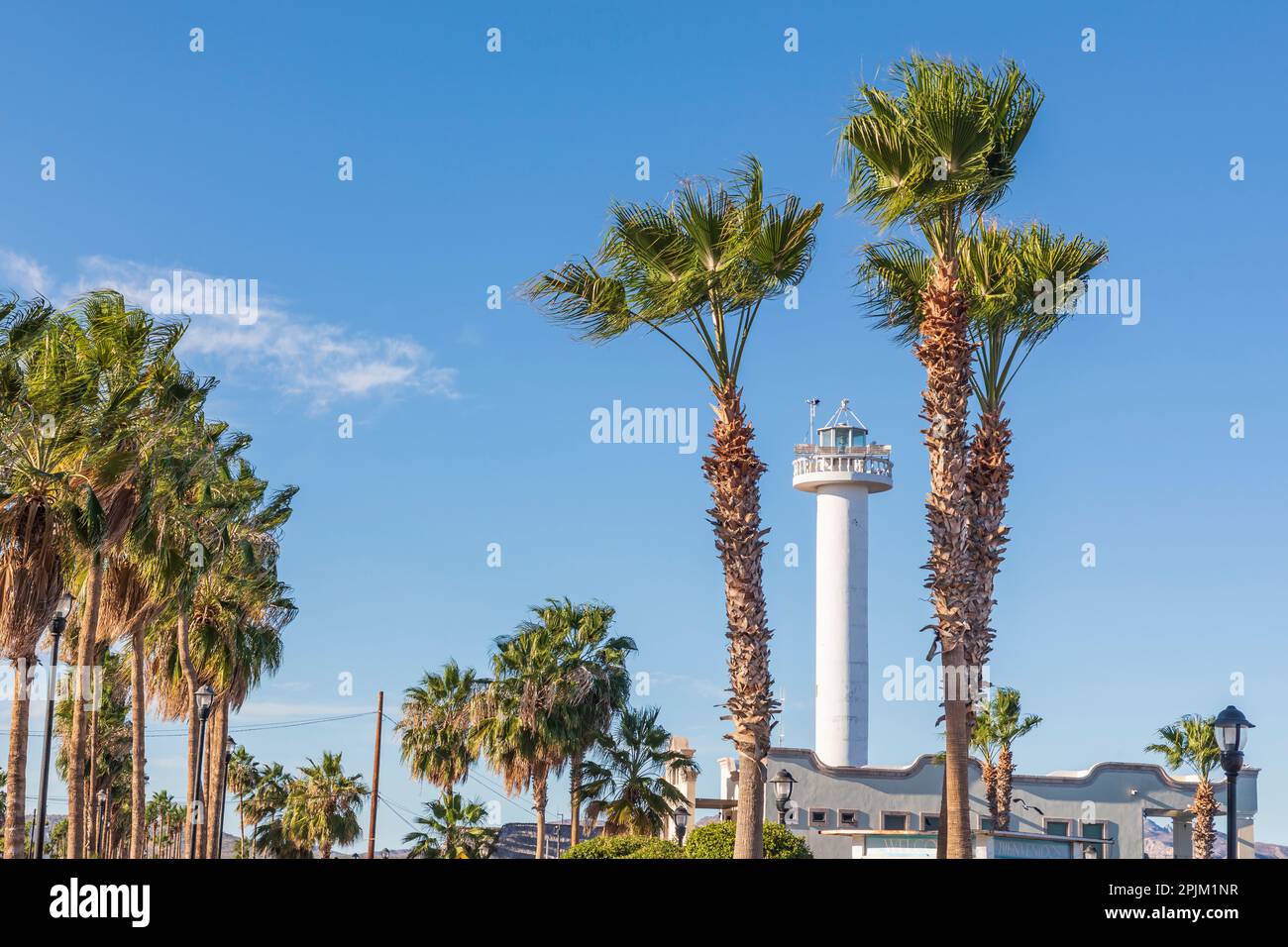 Loreto, Baja California Sur, Mexico. Palm trees and lighthouse Stock ...