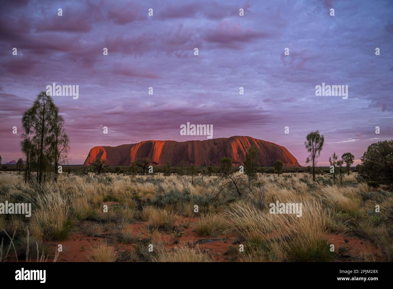 Sunrise at Uluru Stock Photo - Alamy