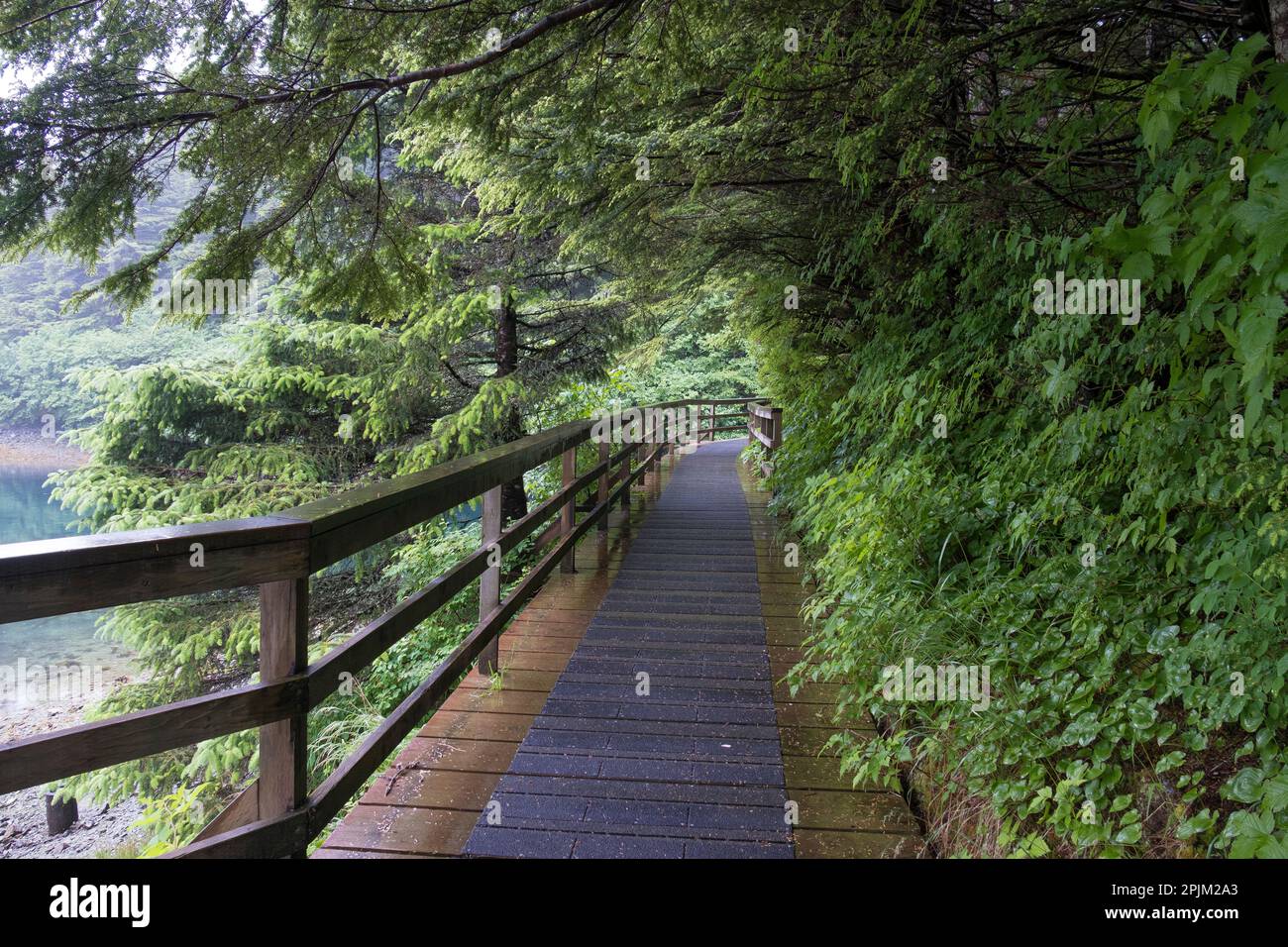 In this roadless village of Elfin Cove, this boardwalk is a designated ...