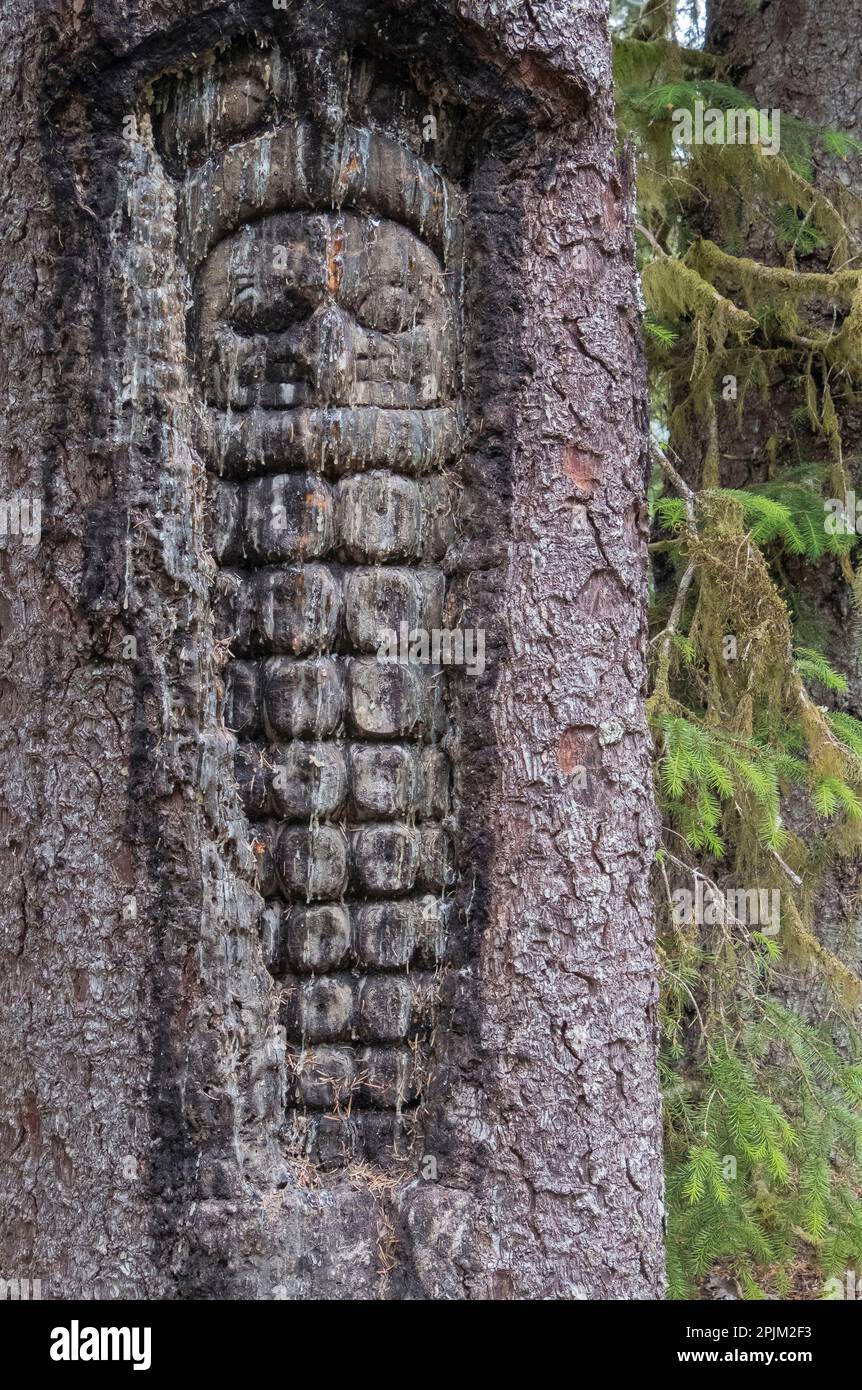 This Tlingit tree totem along a trail at Bartlett Cove. (Editorial Use ...