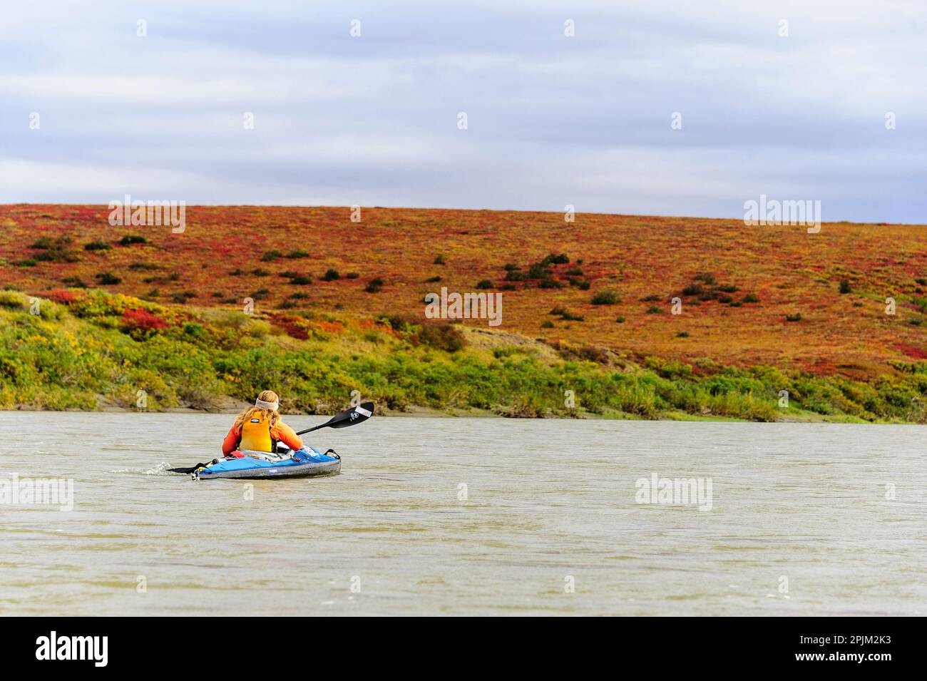 USA, Alaska, Noatak National Preserve. Kayaker on the Noatak River. (MR ...