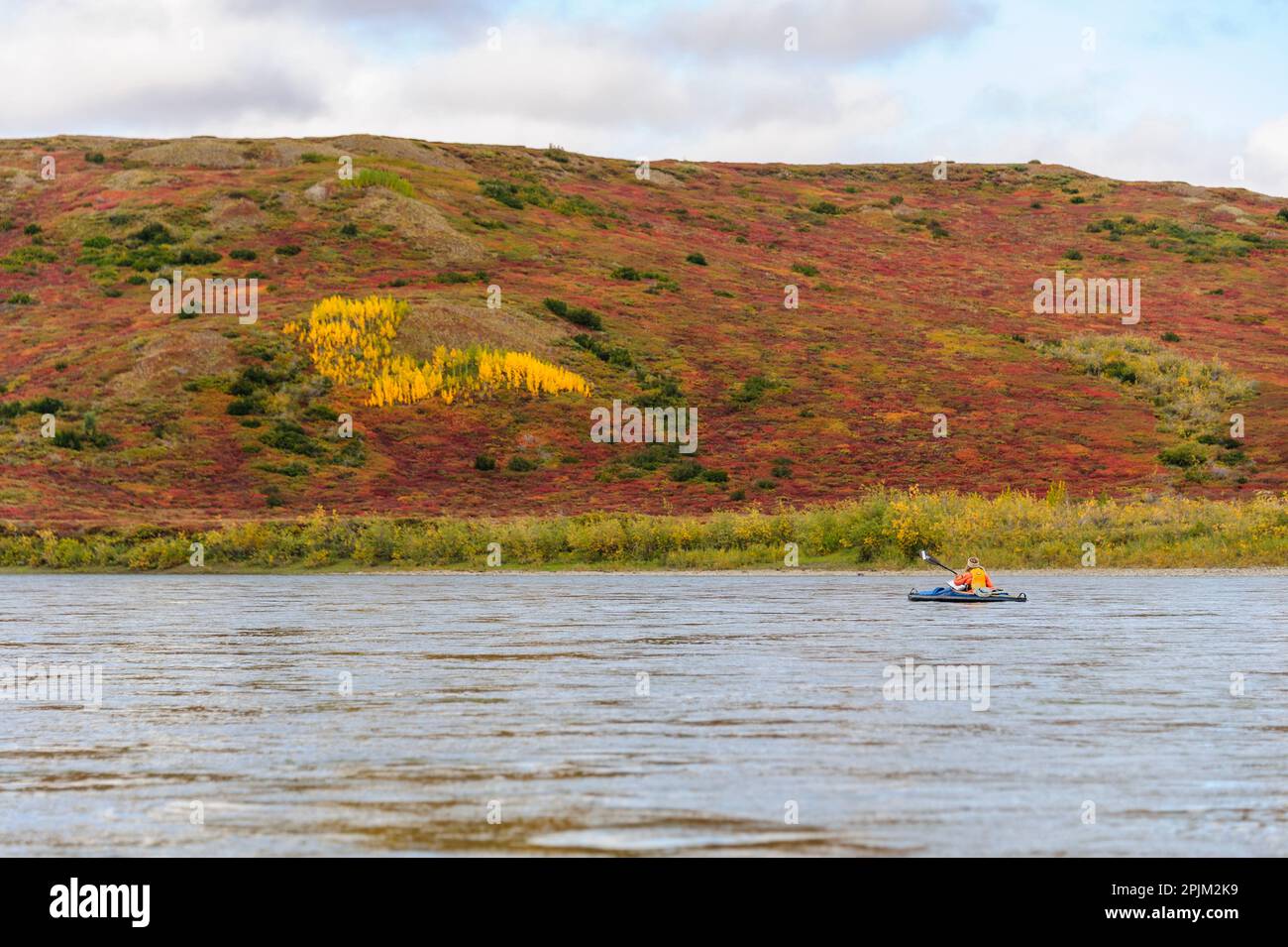 USA, Alaska, Noatak National Preserve. Kayaker on the Noatak River. (MR ...