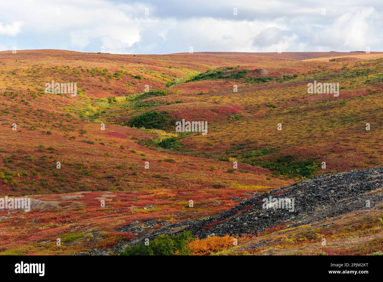 USA, Alaska, Noatak National Preserve. Arctic tundra in autumn colors ...
