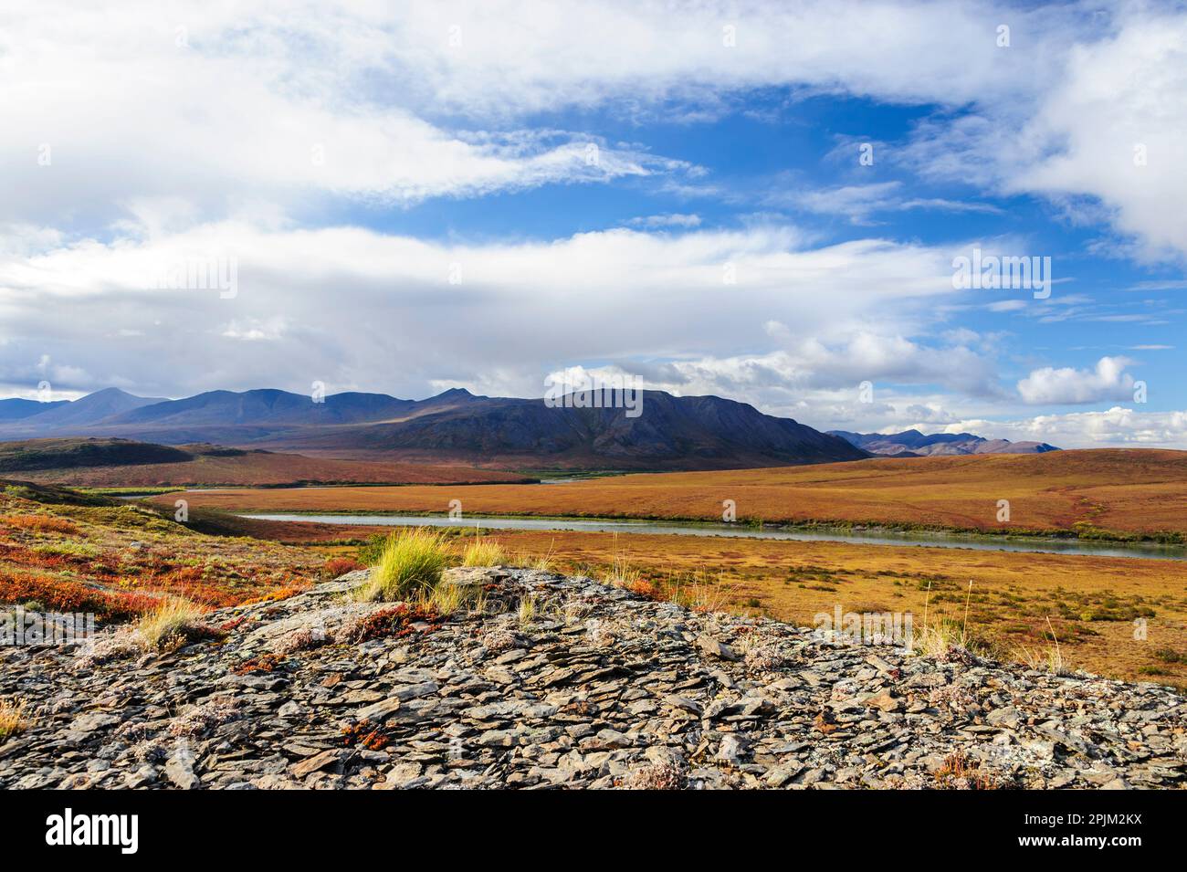USA, Alaska, Noatak National Preserve. Arctic tundra in autumn colors ...