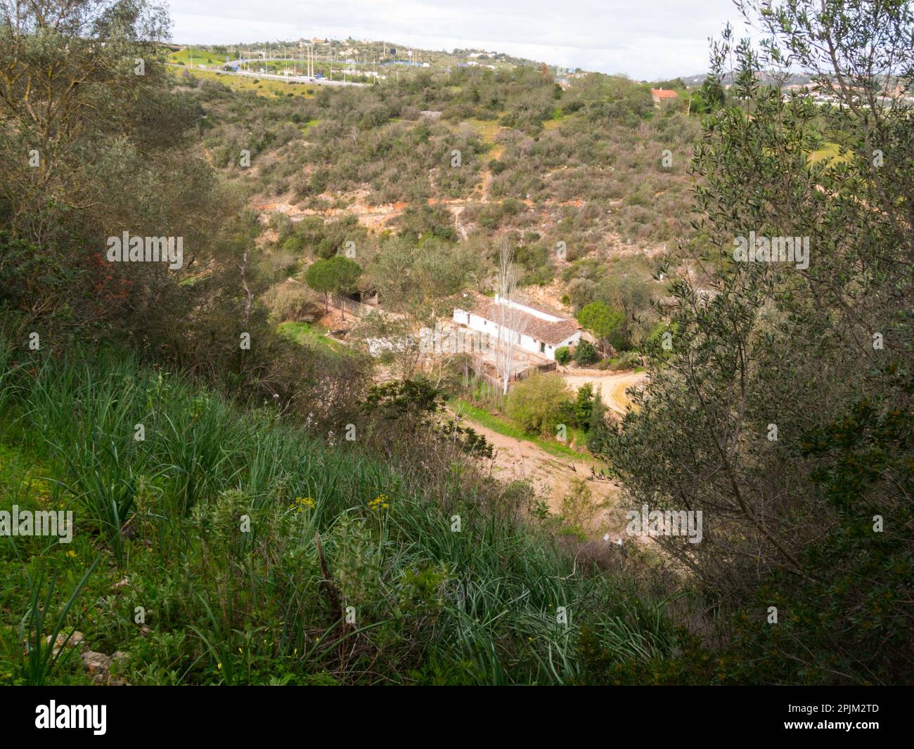 Rainfall effects hi-res stock photography and images - Alamy