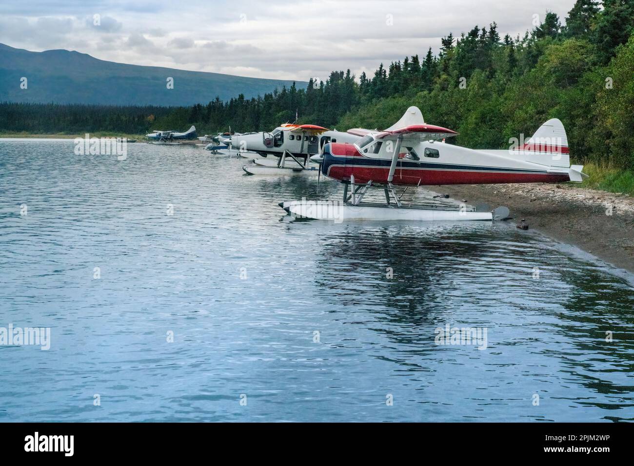 USA, Alaska, Katmai National Park. Floatplanes on Naknek Lake Stock ...