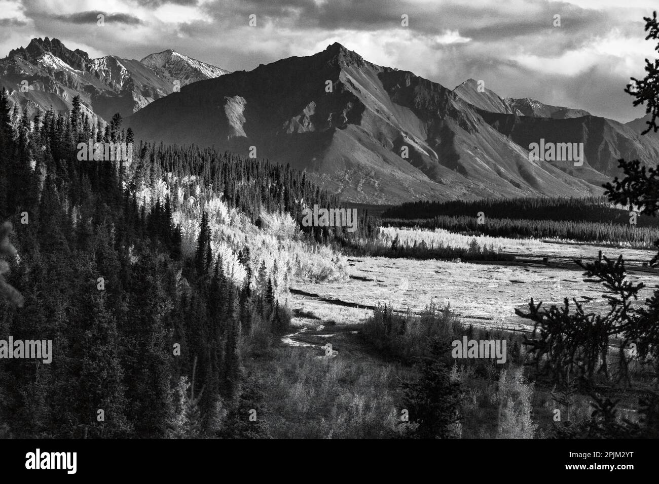 Alaska, Denali National Park. Landscape Stock Photo - Alamy