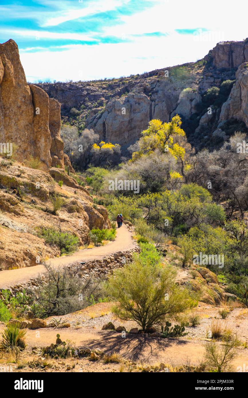 Superior, Arizona, USA. high desert, hiking trails, Boyce Thompson ...