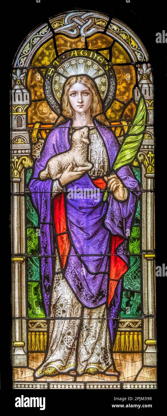 Saint Agnes stained glass, Phoenix, Arizona. Saint Agnes, Roman martyr ...