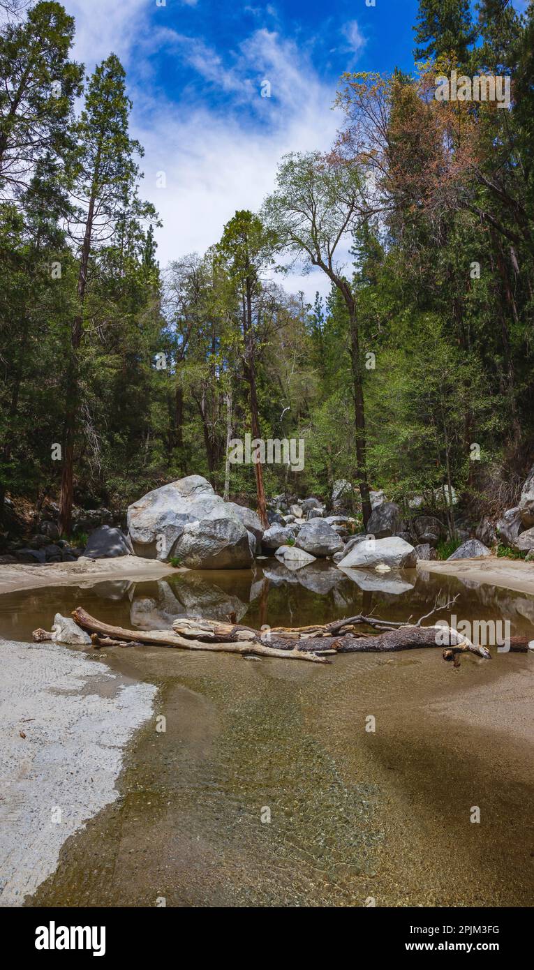 Bee Canyon, San Jacinto Mountain, California Stock Photo - Alamy