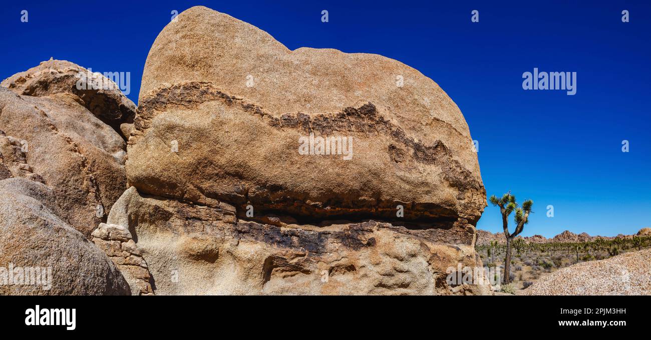 Granite Tree National Park, California Stock Photo - Alamy