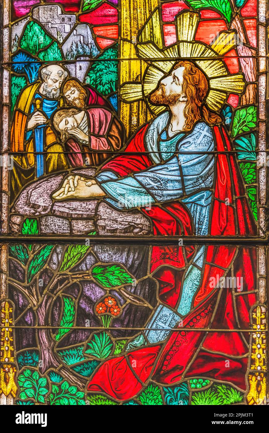 Jesus Christ Praying stained glass, Trinity Parish Church, Saint ...