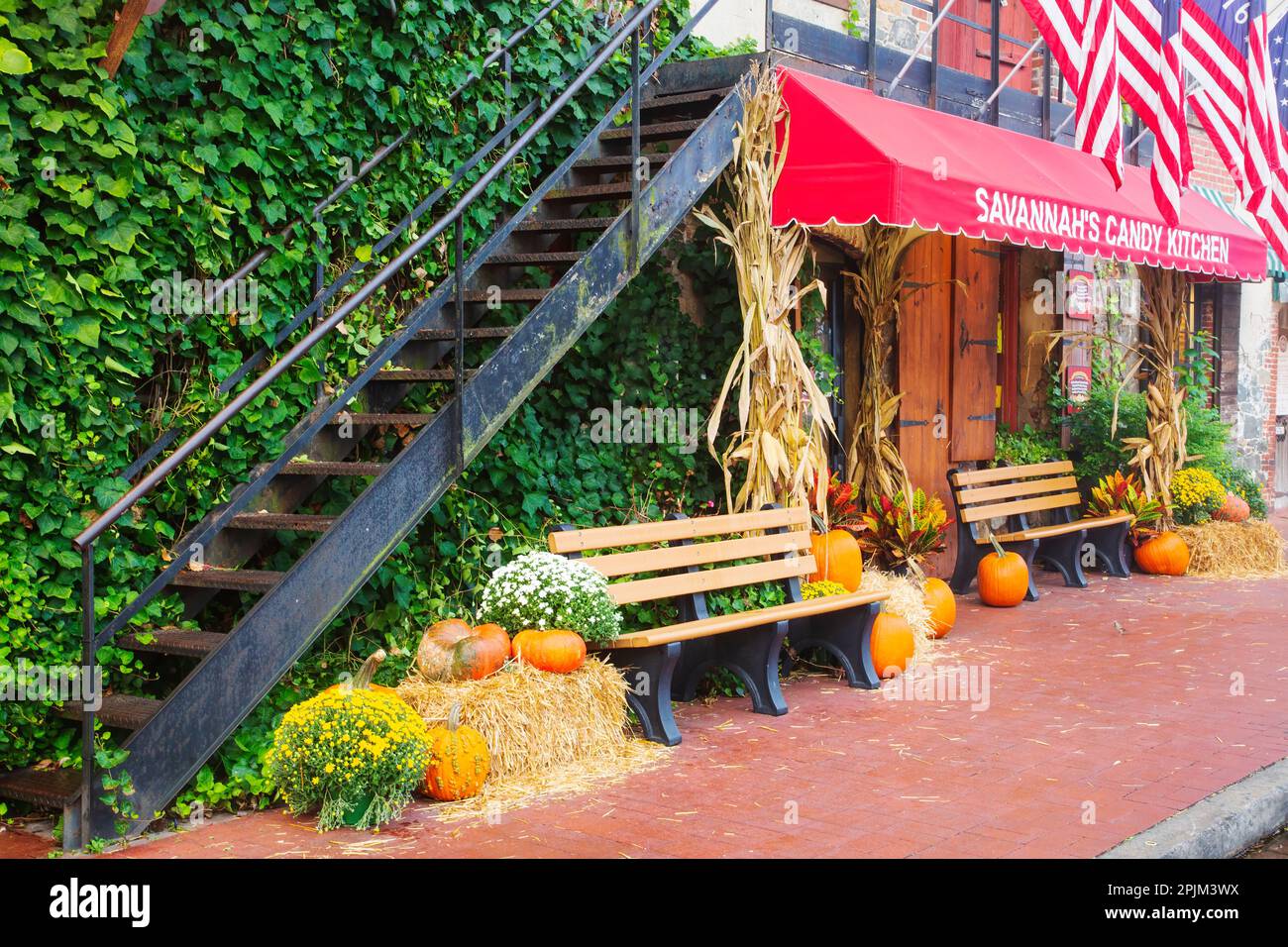USA, Georgia, Savannah. Morning along River Street in the fall ...