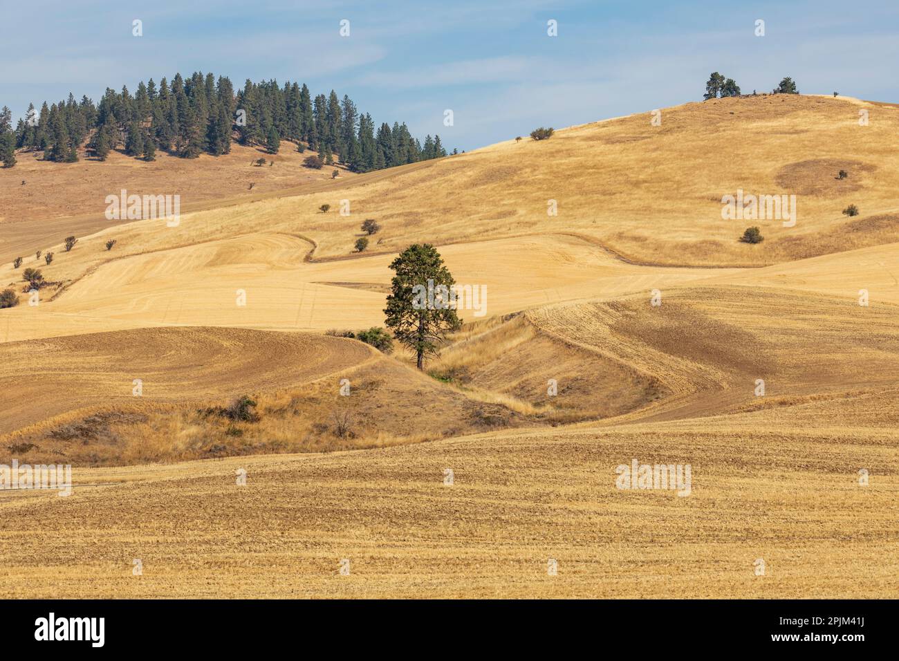 USA, Idaho. Palouse. Rolling hills Stock Photo - Alamy