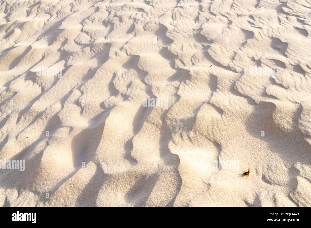 USA, New Mexico, White Sands National Monument. Ripple patterns in ...