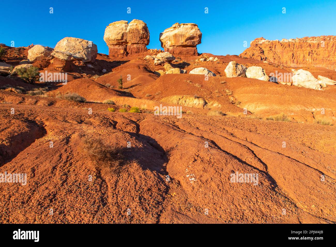 USA, Utah, Capitol Reef National Park. Twin Rocks eroded formations ...