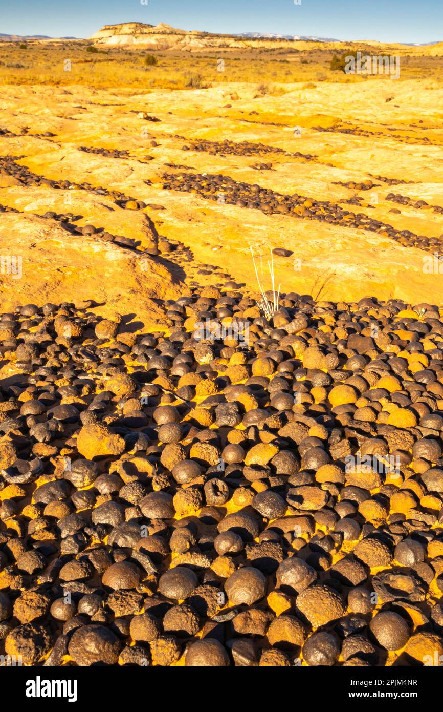 USA, Utah, Grand Staircase Escalante National Monument, Moqui marbles ...