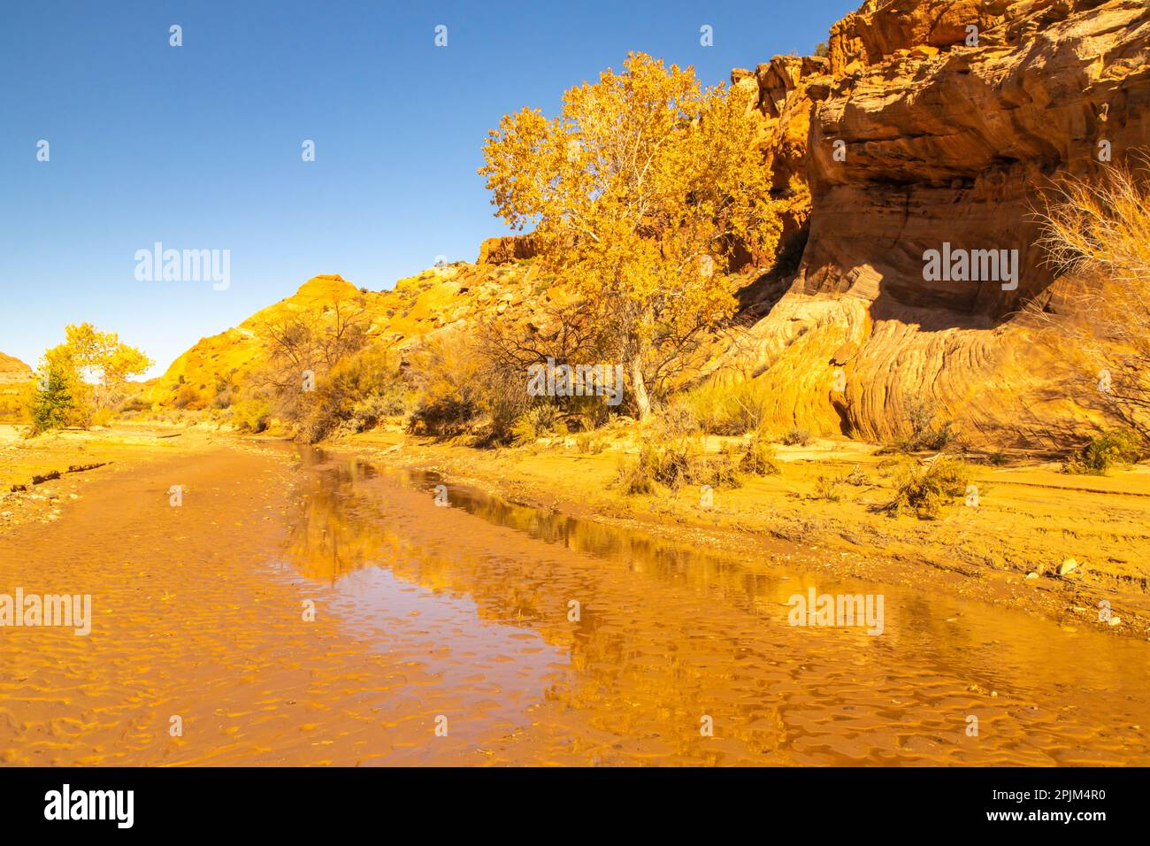 USA, Utah, Grand Staircase Escalante National Monument. Harris Wash and ...
