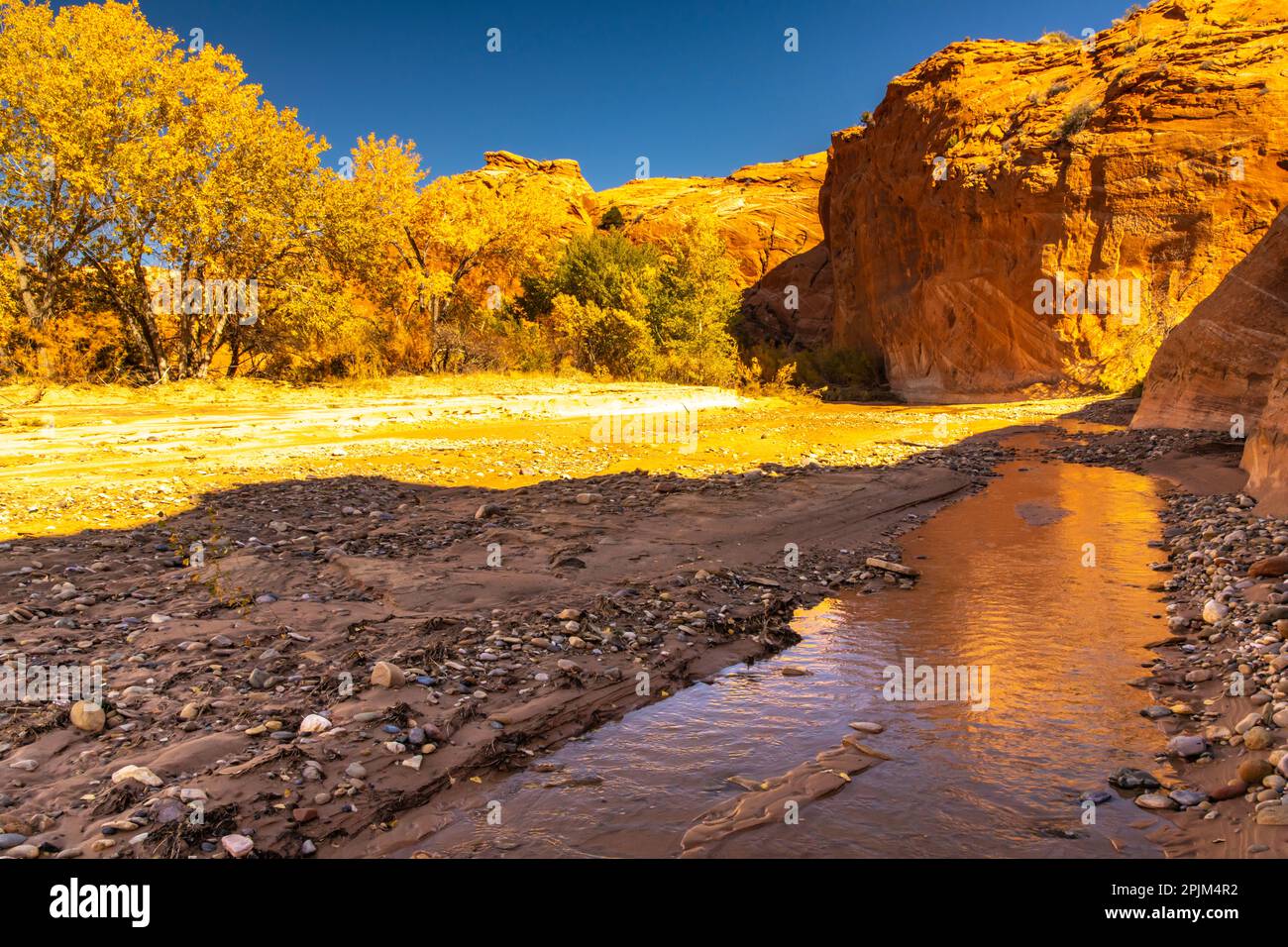 USA, Utah, Grand Staircase Escalante National Monument. Harris Wash and ...