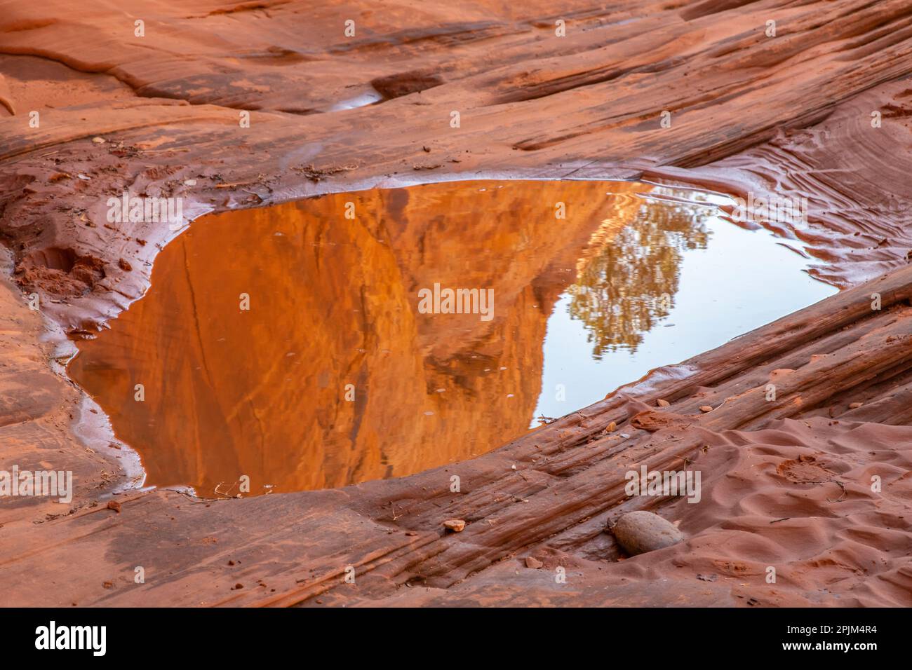 USA, Utah, Grand Staircase Escalante National Monument. Reflection in ...