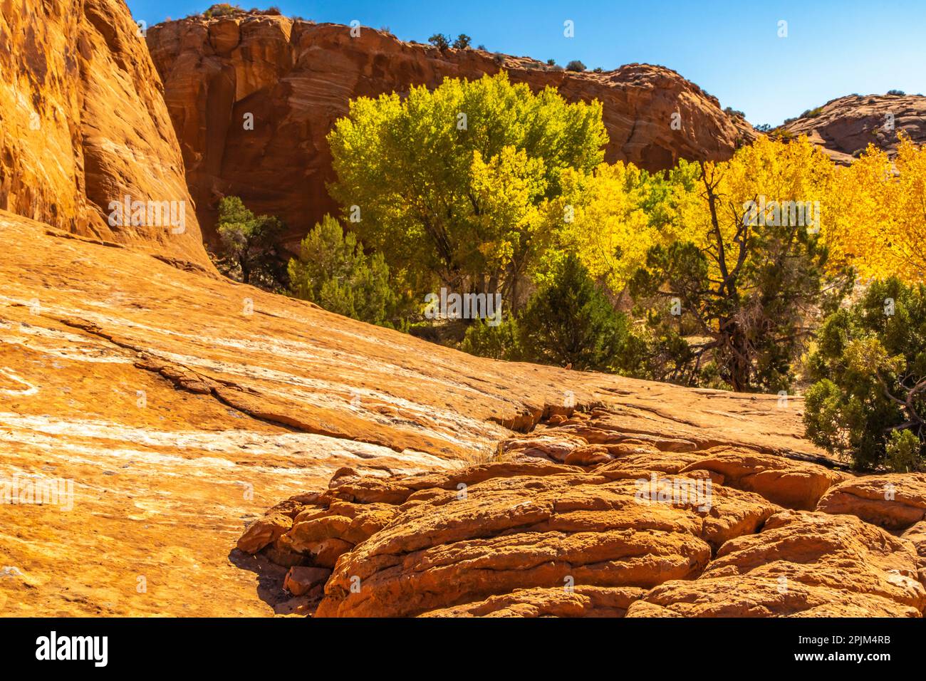 USA, Utah, Grand Staircase Escalante National Monument, Harris Wash ...