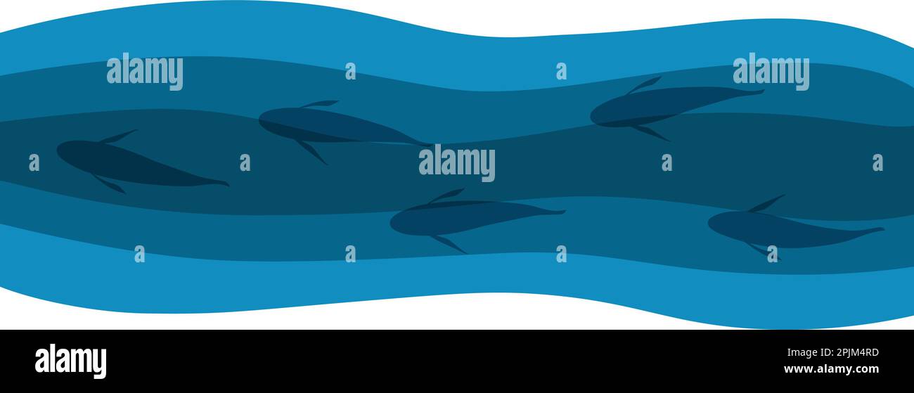 Carp flock in the river. Top view illustration. Fish pattern on white ...