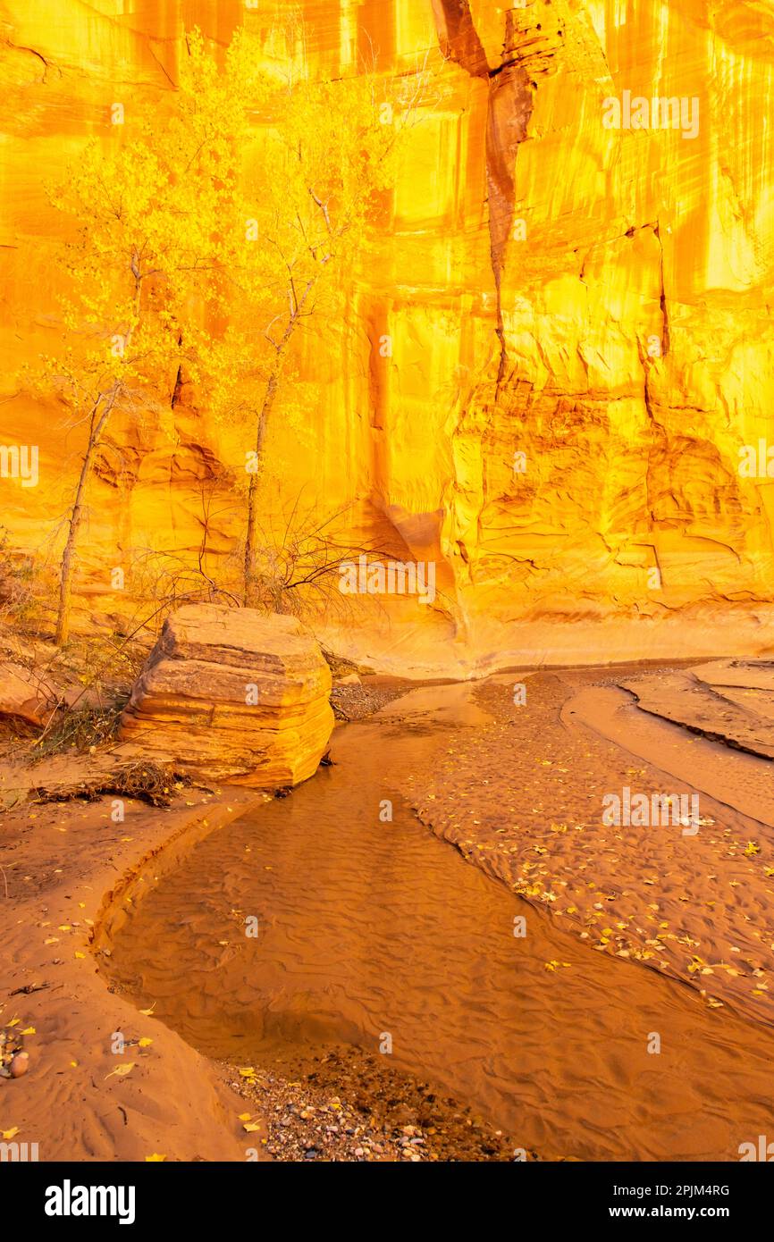 USA, Utah, Grand Staircase Escalante National Monument. Harris Wash and ...