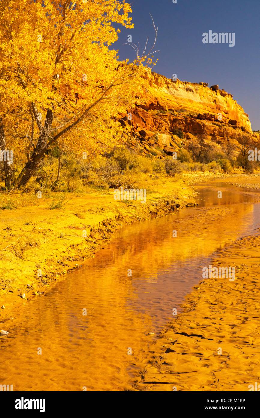 USA, Utah, Grand Staircase Escalante National Monument. Harris Wash and ...
