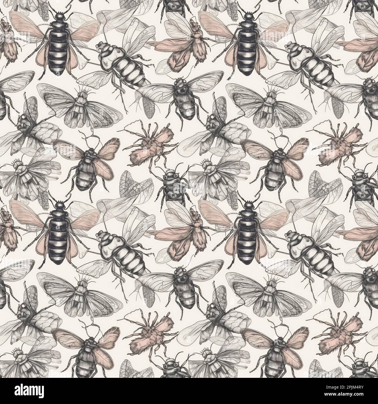 Variety of insects hi-res stock photography and images - Alamy