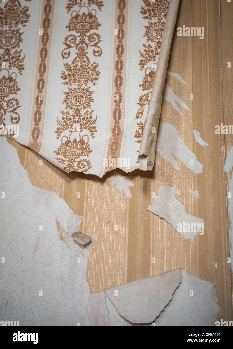 Close up image of fragments of peeling original wallpaper in 18th ...
