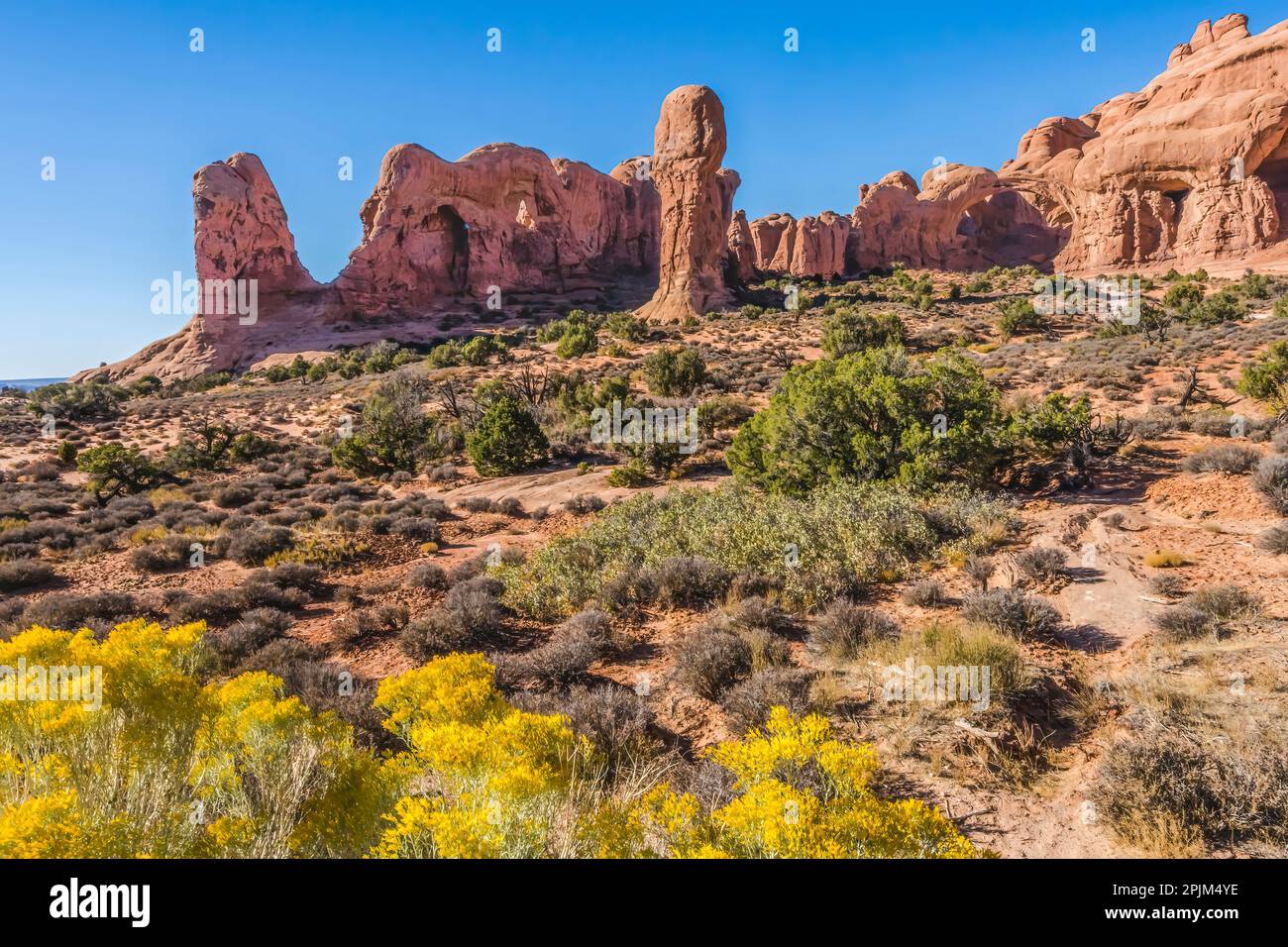 Parade elephants arches national park hi-res stock photography and ...