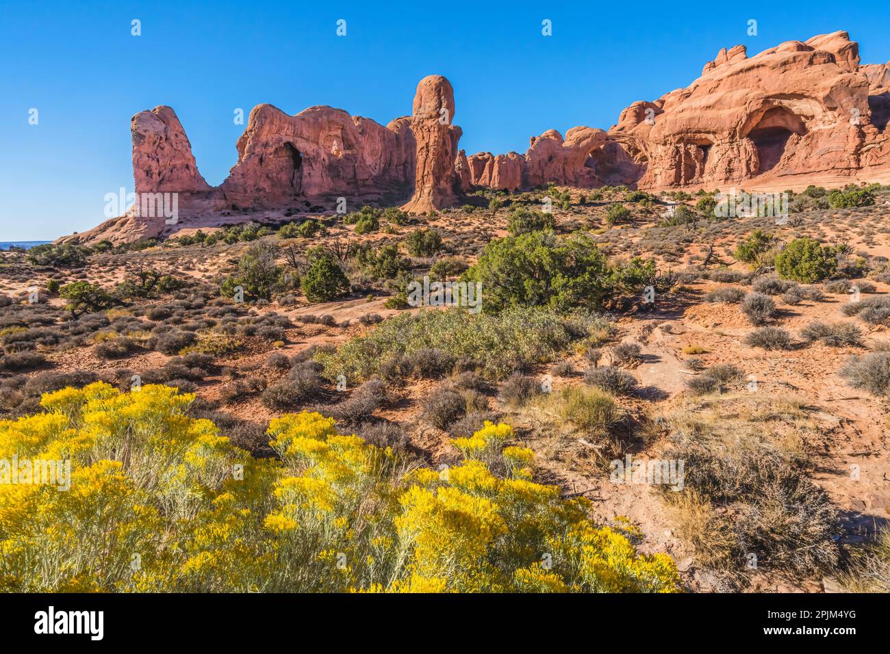 Double Arch, Parade of Elephants, Windows Section, Arches National Park ...