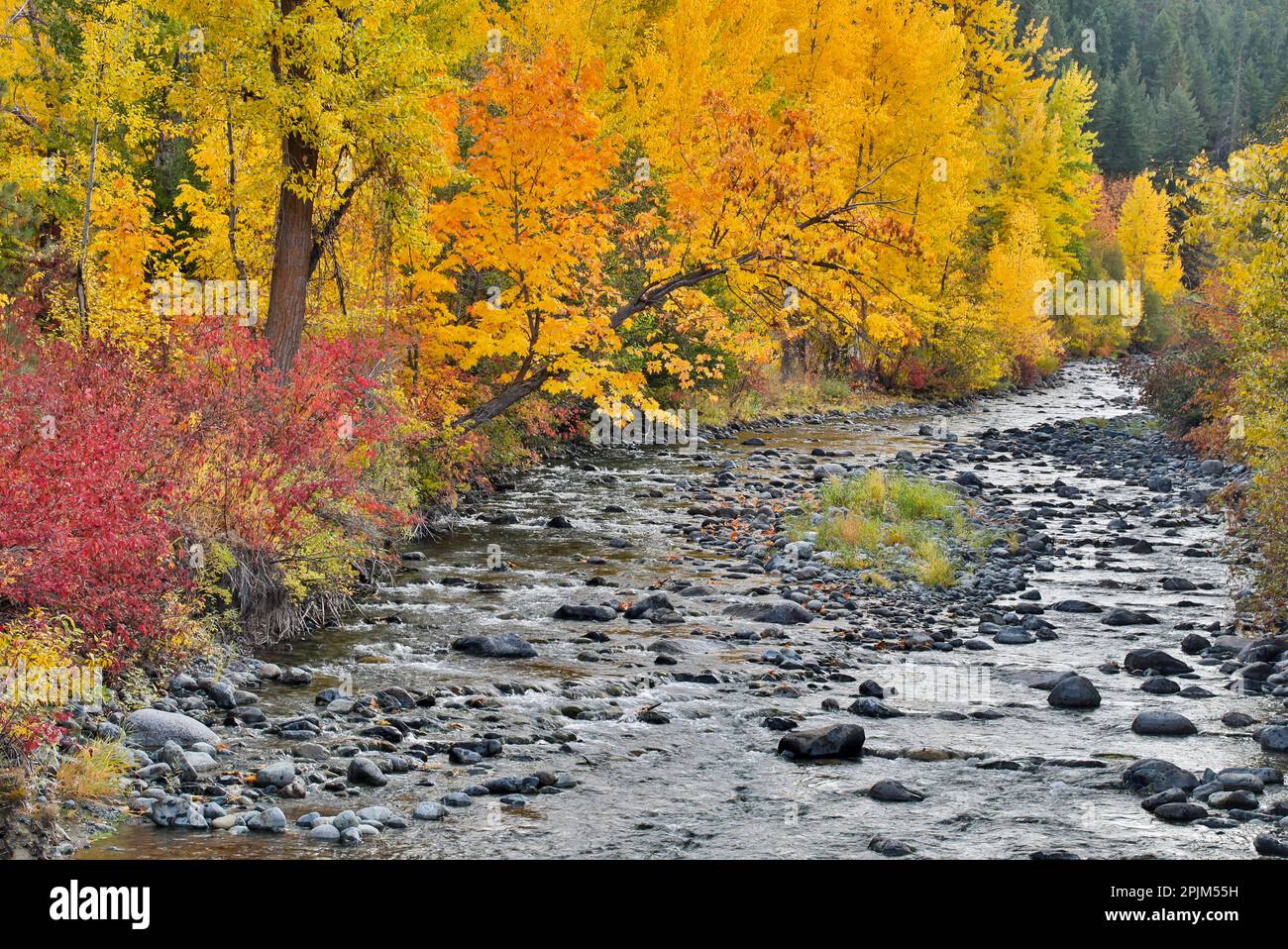 Peshastin hi-res stock photography and images - Alamy