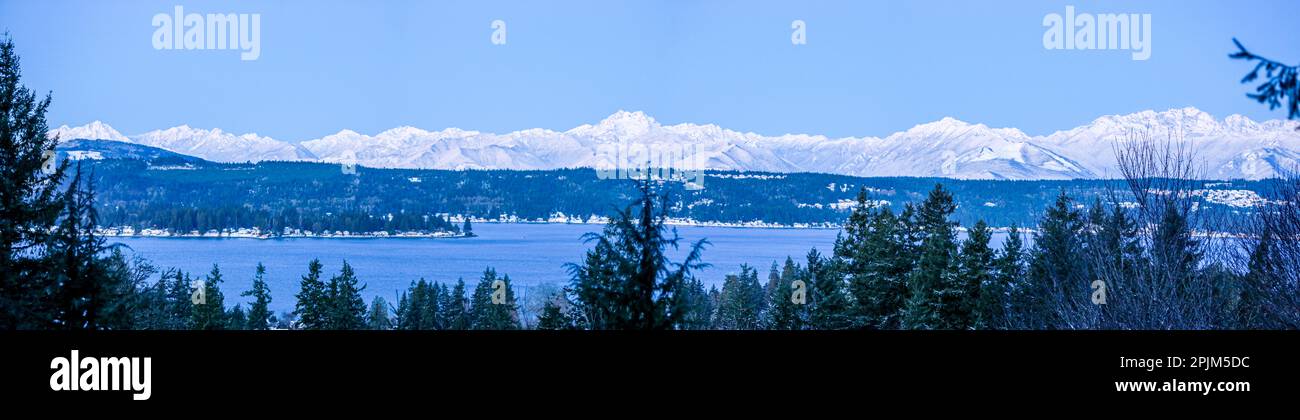 Olympic Mountain Range Panorama