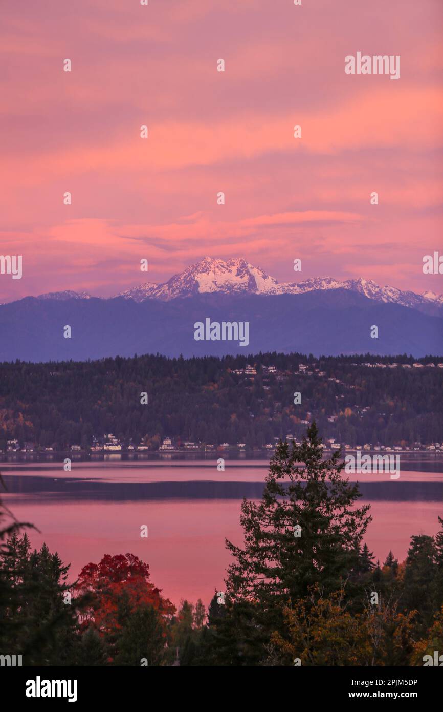 Bremerton, Washington State, USA. Olympic Mountain, pink sunrise, Puget ...