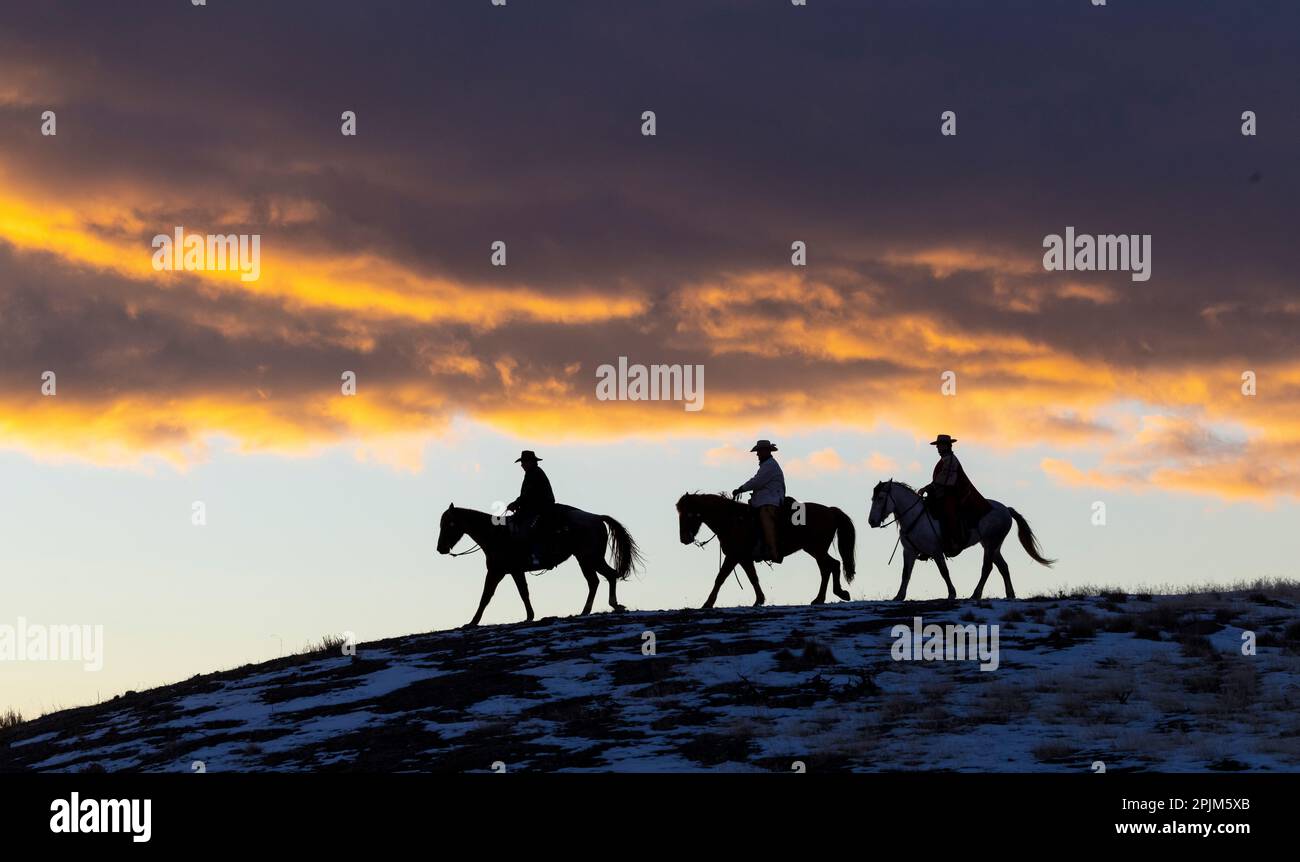 Cowgirls model hi-res stock photography and images - Alamy