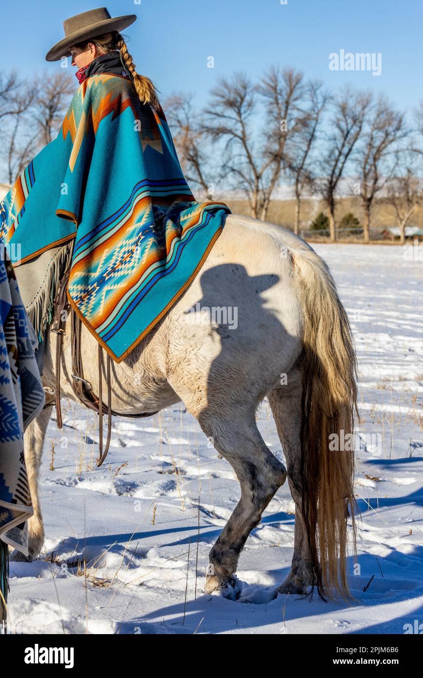 USA, Wyoming. Hideout Horse Ranch, wrangler, horse and shadow. (MR,PR ...