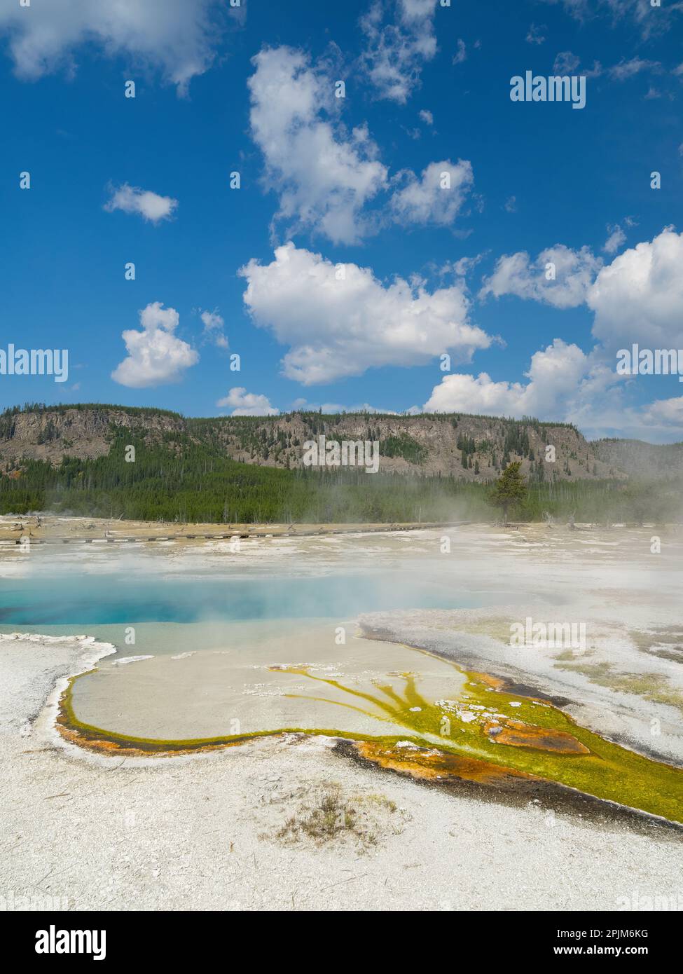 Bacteria mat hi-res stock photography and images - Alamy