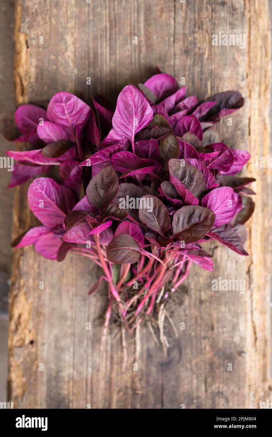 A bunch of fresh purple amaranth on a rustic background Stock Photo - Alamy