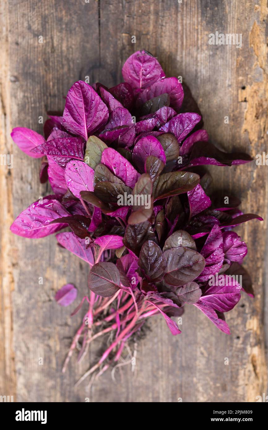 A bunch of fresh purple amaranth on a rustic background Stock Photo - Alamy