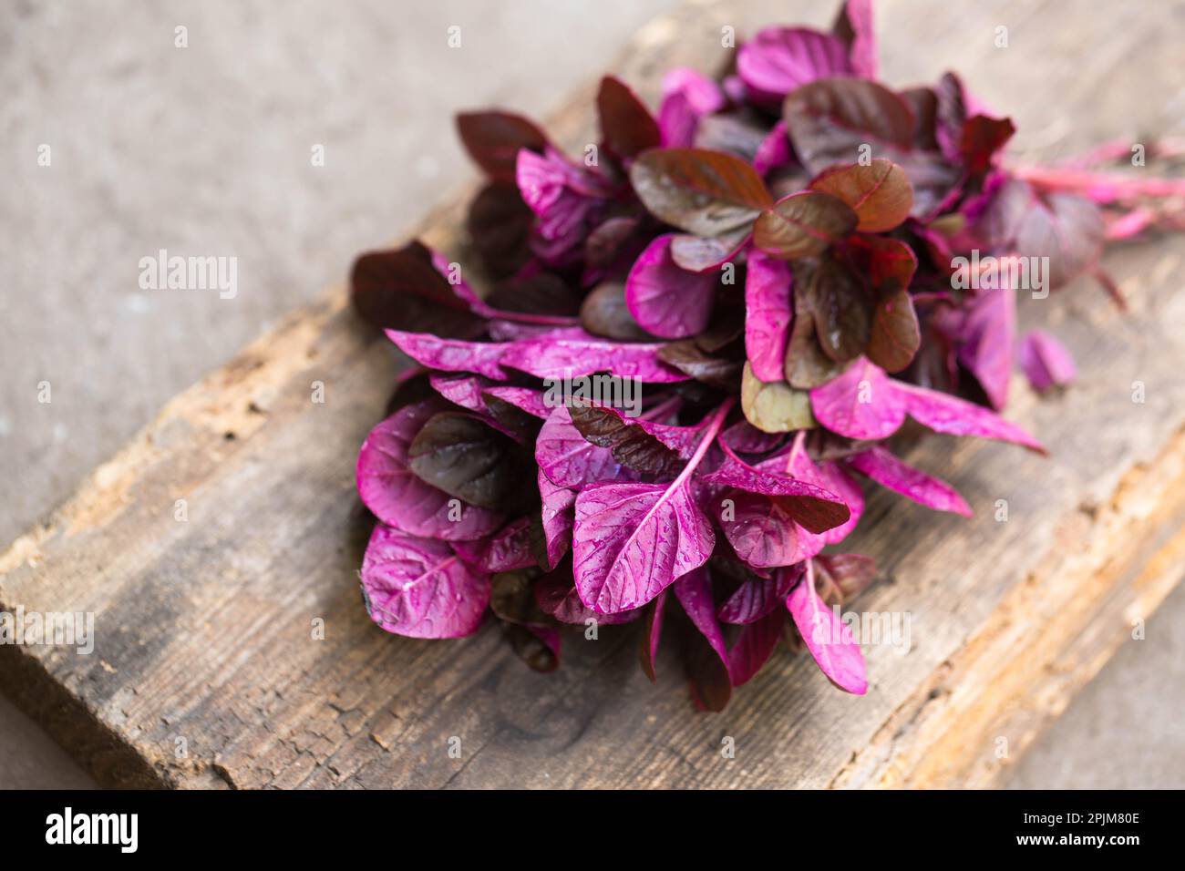A bunch of fresh purple amaranth on a rustic background Stock Photo - Alamy