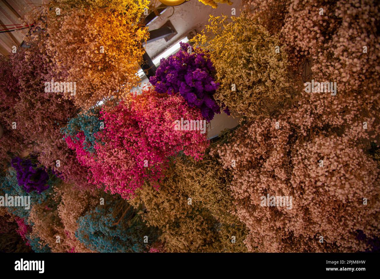 Countless colorful bouquets and many flower arrangements in the Bangkok ...