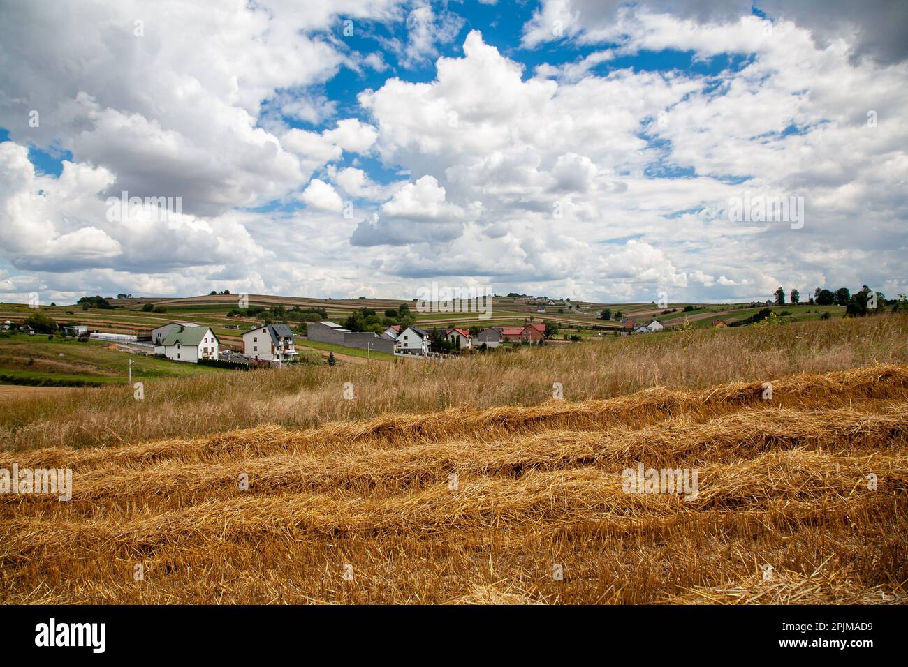 Farmland landscape hay field nature panorama Stock Photo - Alamy