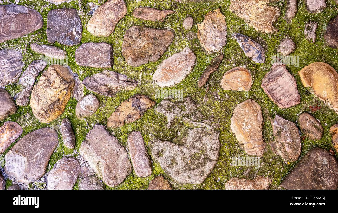 Medieval floor tile hi-res stock photography and images - Alamy