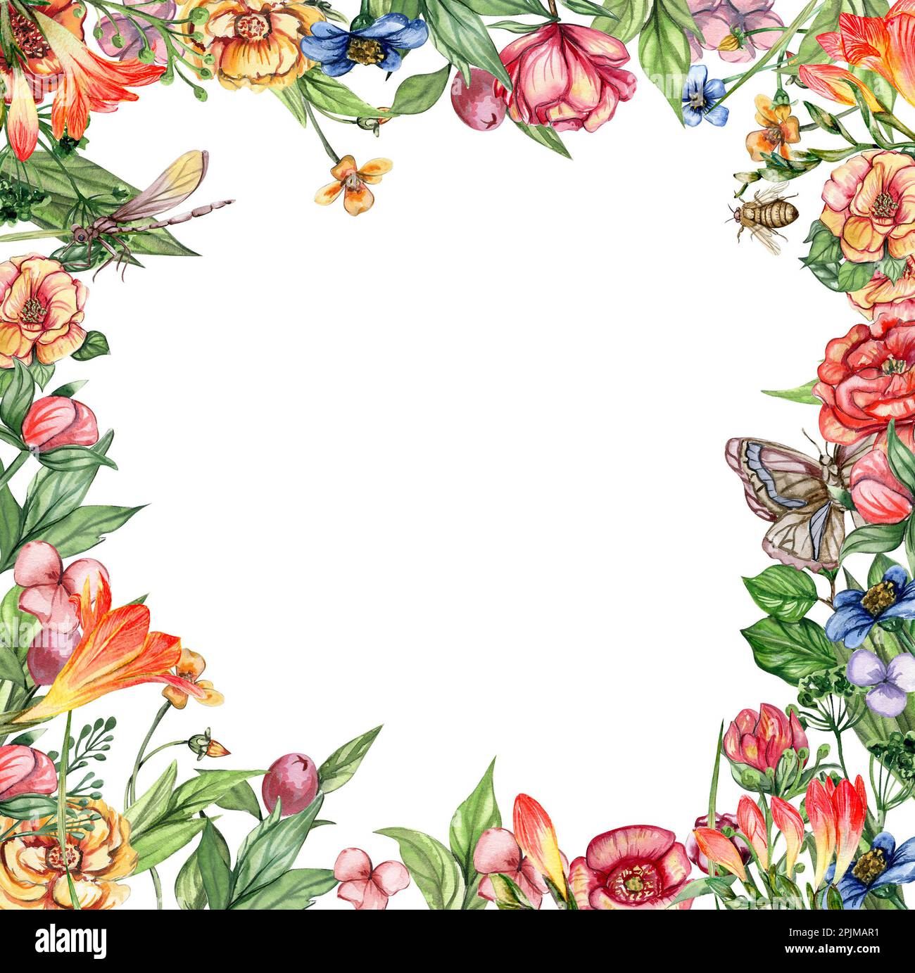 Watercolor hand drawn spring garden full of flowers square frame ...