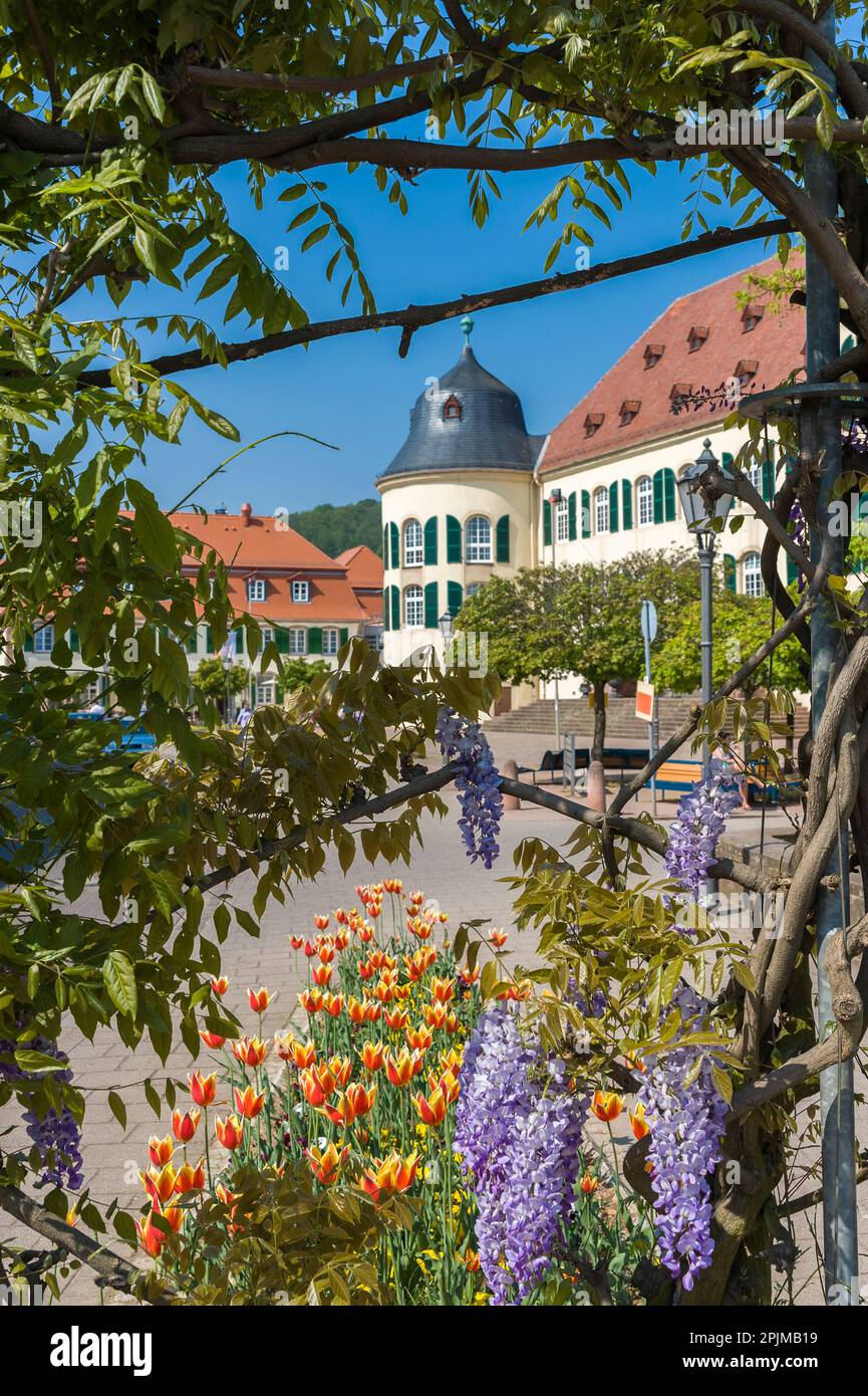 Bergzabern Castle at Duchess Karoline Square, Bad Bergzabern ...