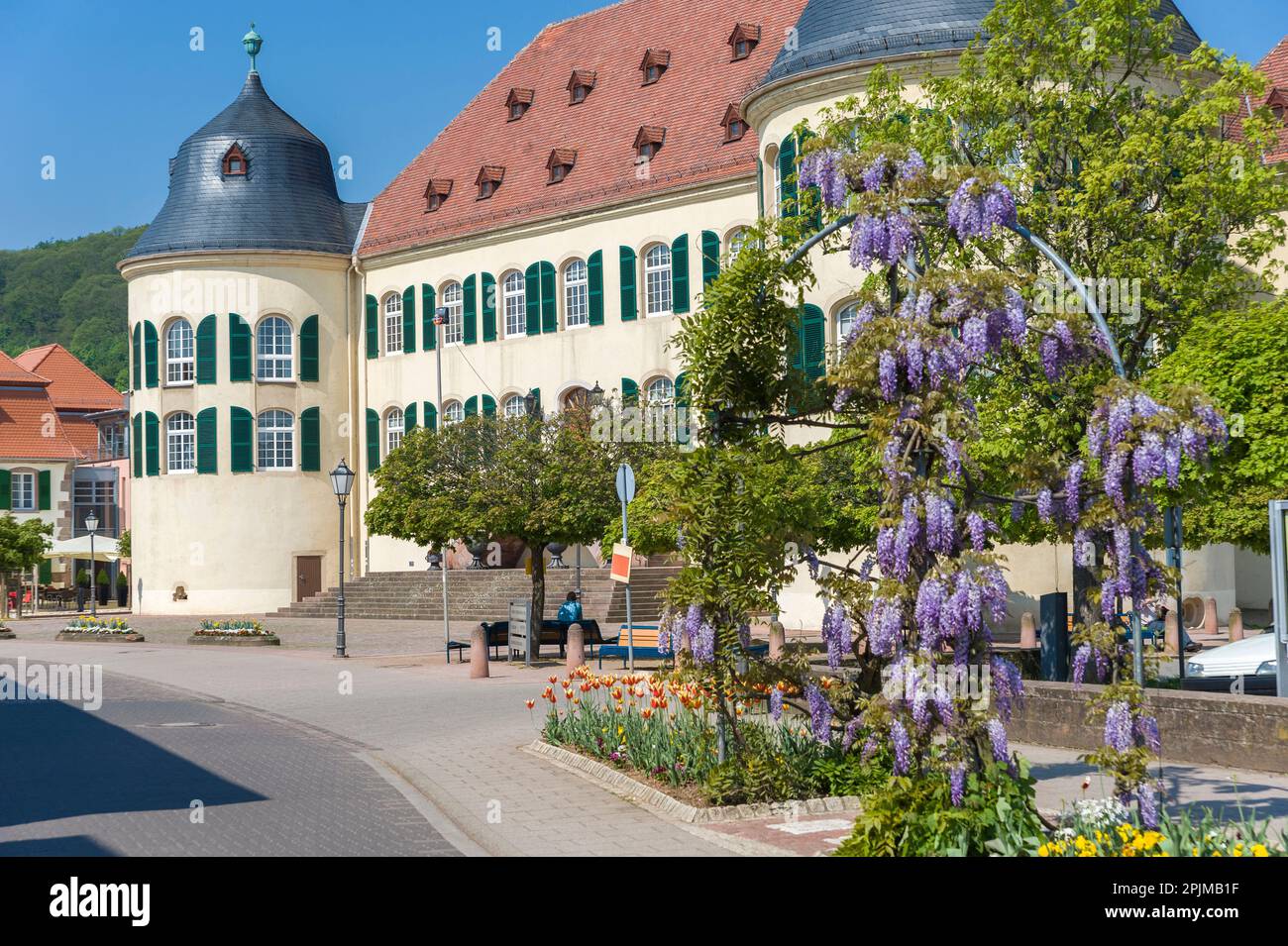 Bergzabern Castle at Duchess Karoline Square, Bad Bergzabern ...